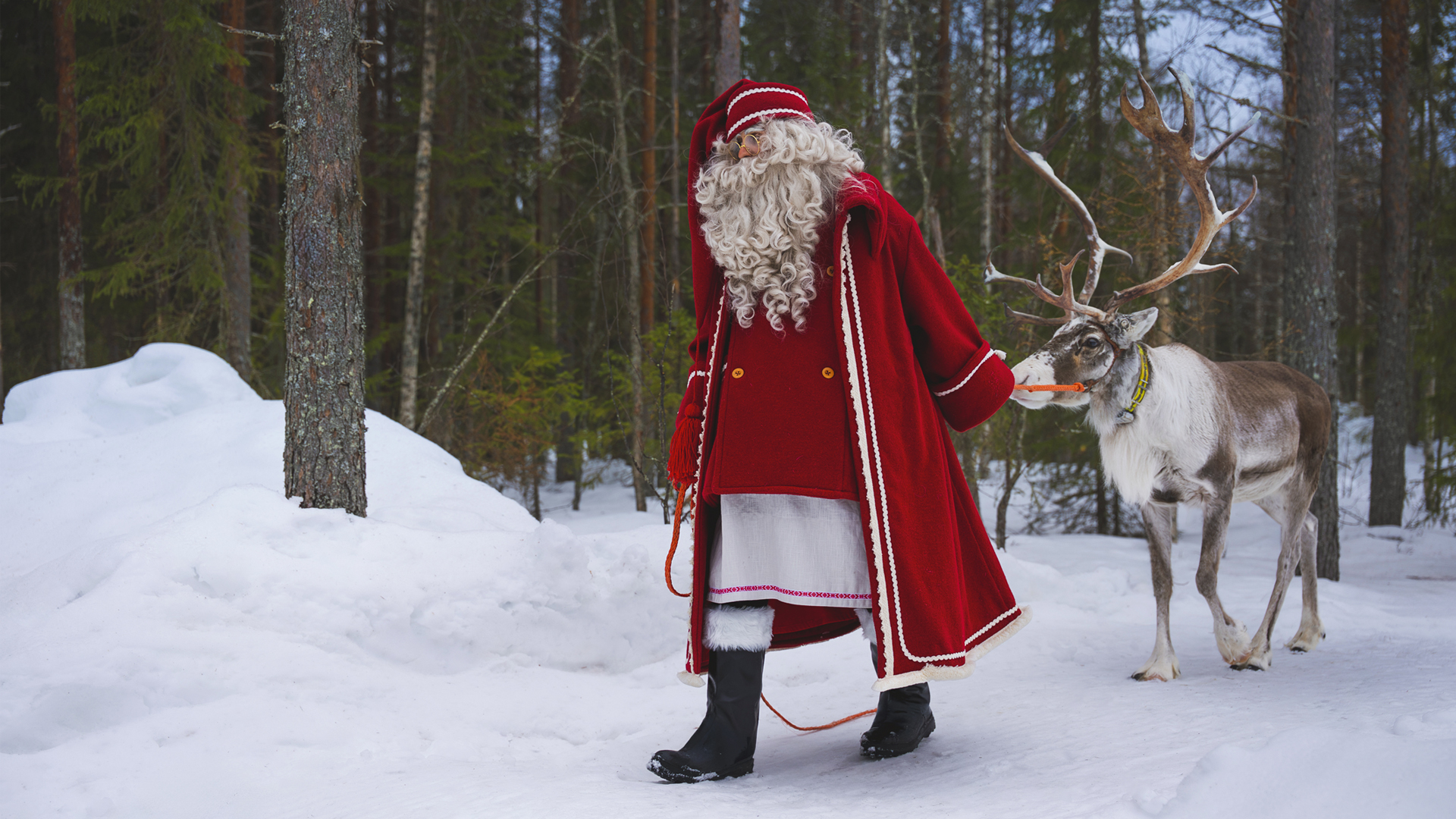 Visit to Santa’s Secret Cabin | Nordic Unique Travels